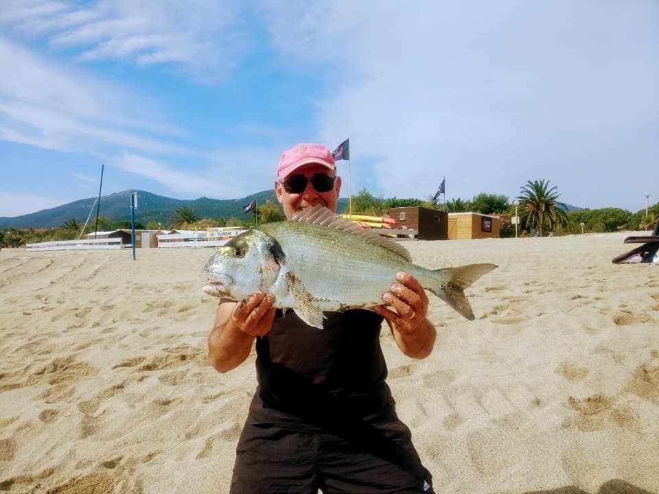 Dorade Surfcasting - Pêche en mer Méditerranée de la dorade royale en ...