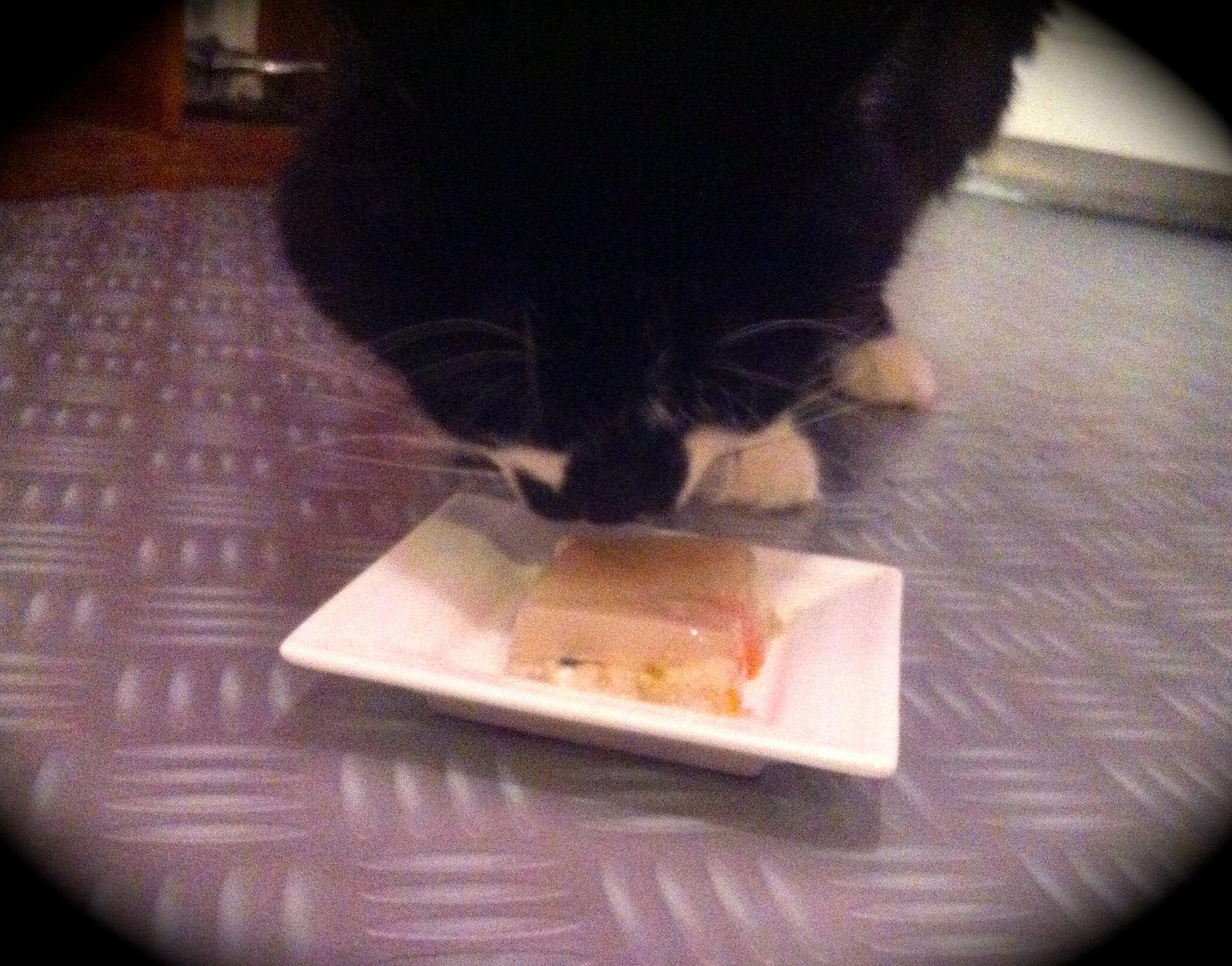 Do It Yourself spécial Matou, la recette de la pâtée pour chat maison ...