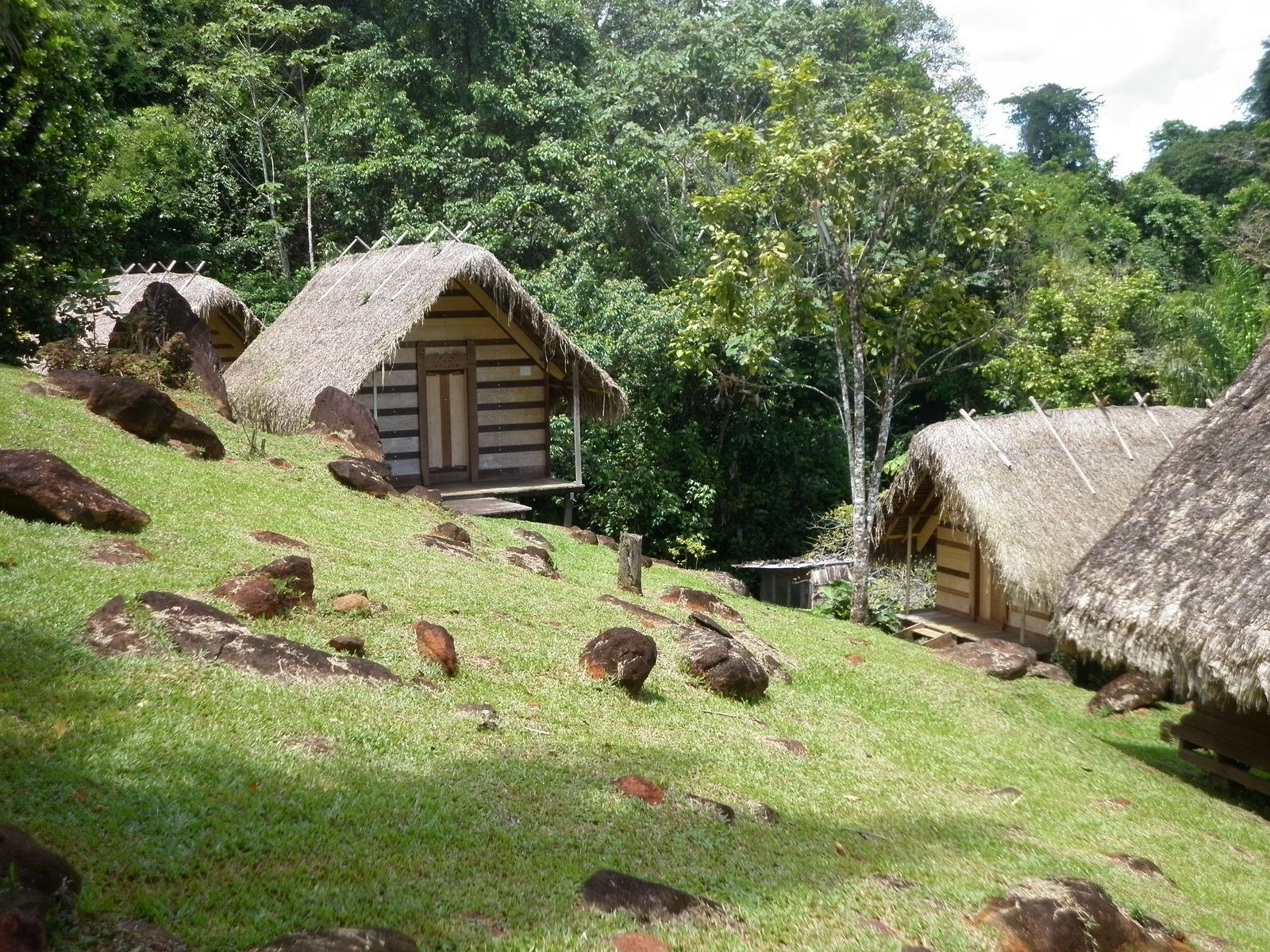 CULTURE SARAMACA A KOUROU : Asso Papakai et son camp touristique - Un ...