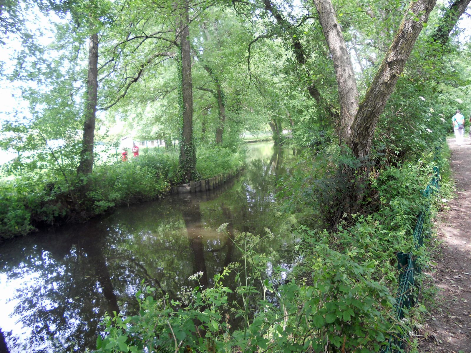 promenade dans les bois - brigit08