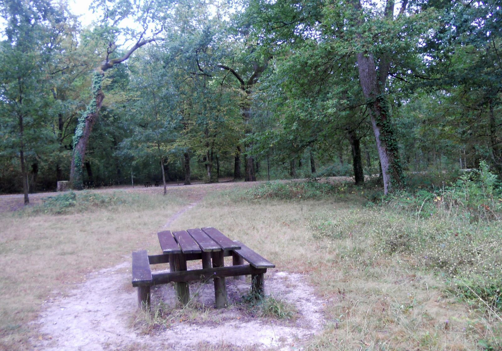 promenade dans les bois - brigit08