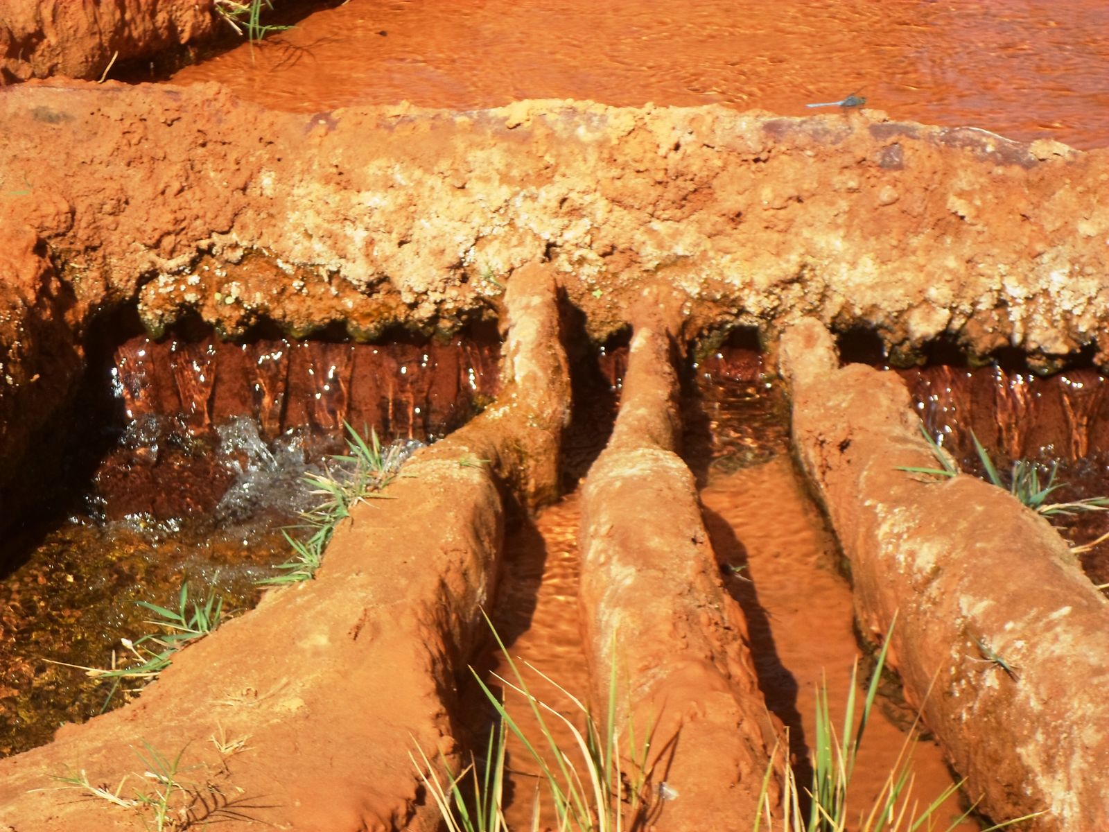 Séjours à Timimoun - Le blog de GOURARA TOURISME