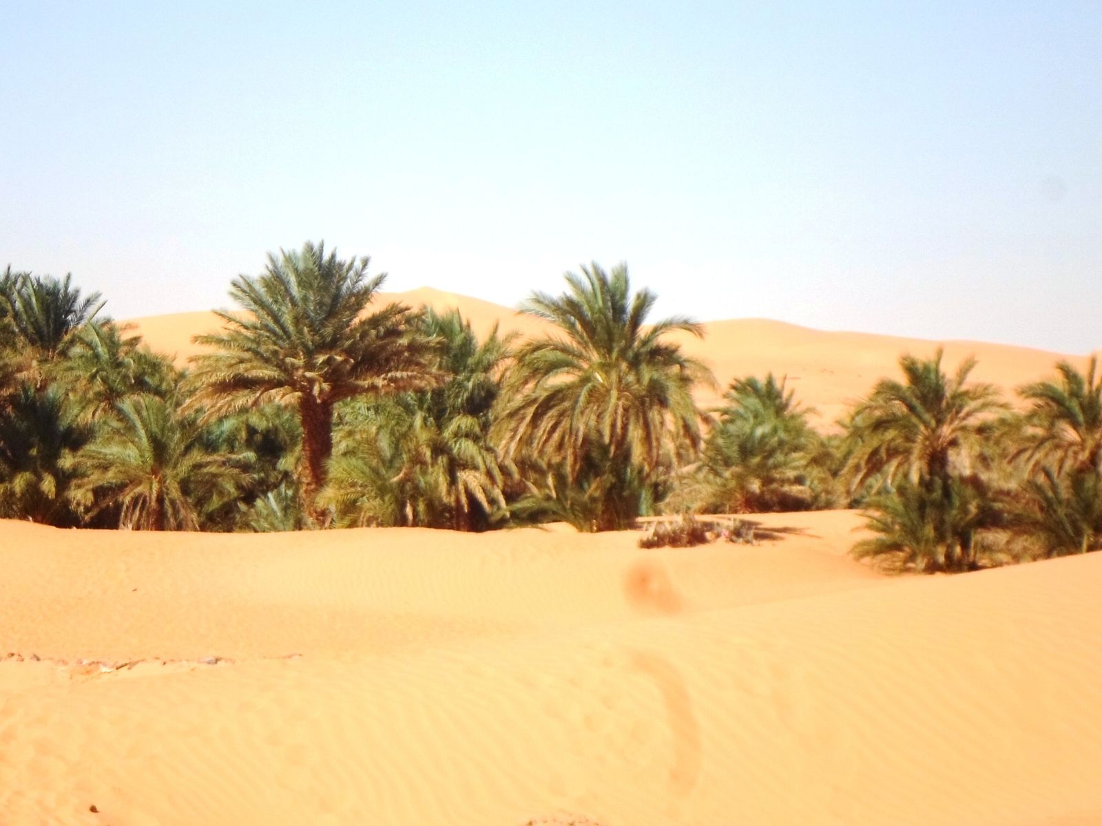 Séjours à Timimoun - Le blog de GOURARA TOURISME