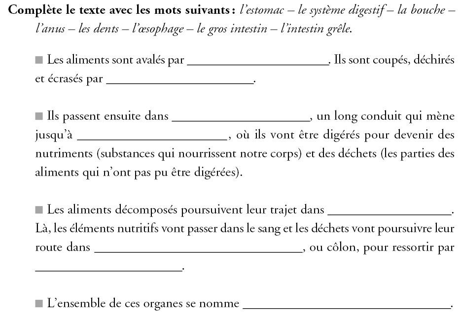 La digestion: le trajet des aliments - La Classe de Myli Breizh