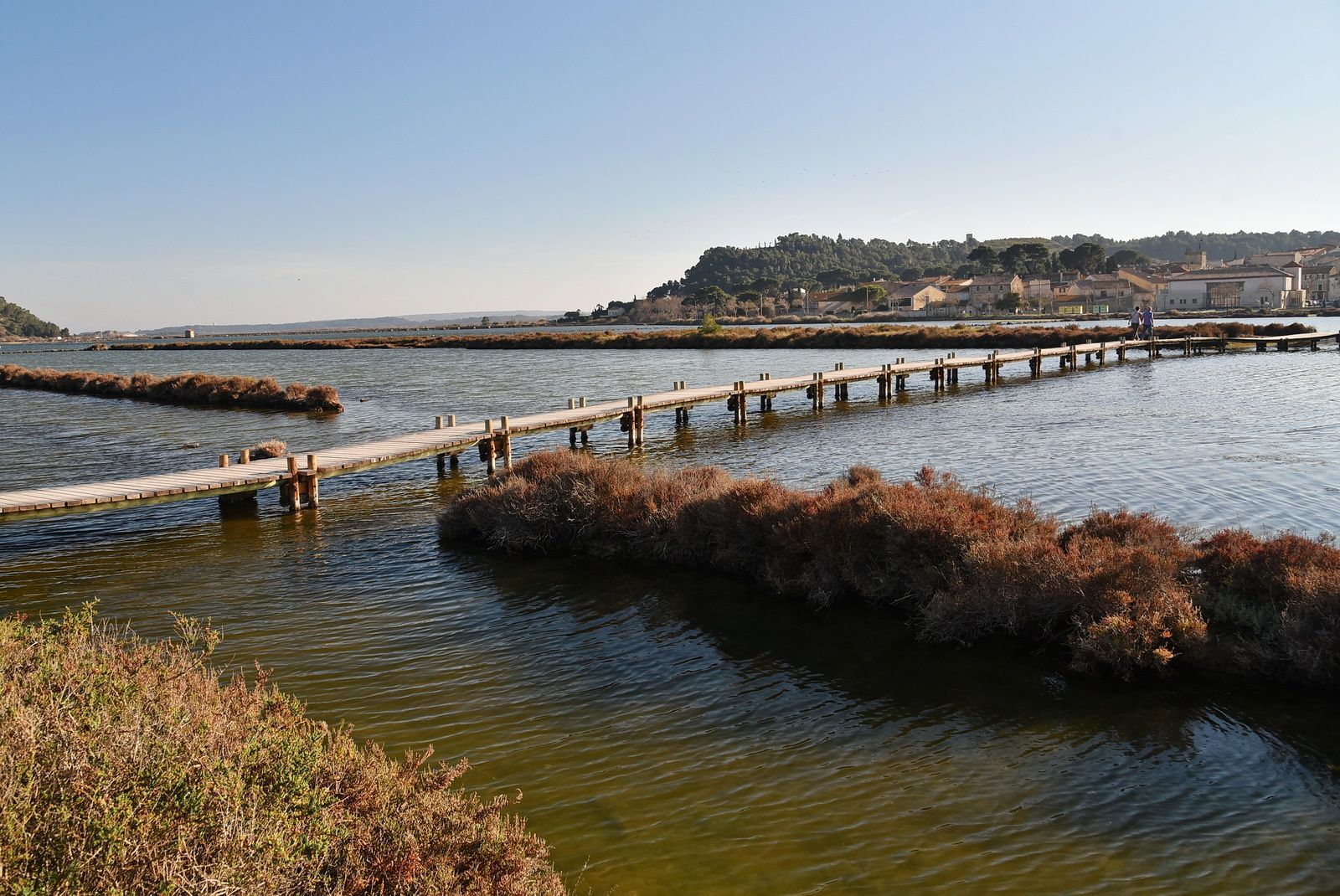 Promenade entre Bages et Peyriac de mer - Photo Portiragnes Passion (PPP)