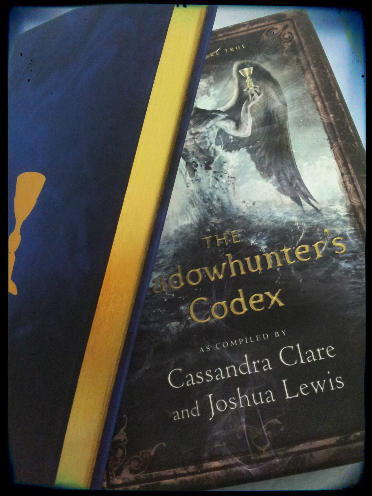 The Shadowhunters Codex de Cassandra Clare et Joshua Lewis - a little ...