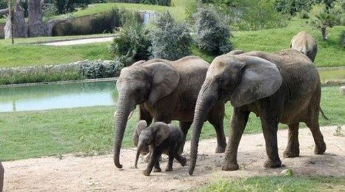 Le sourire du jour - Le blog de lesvoyagesetmoi