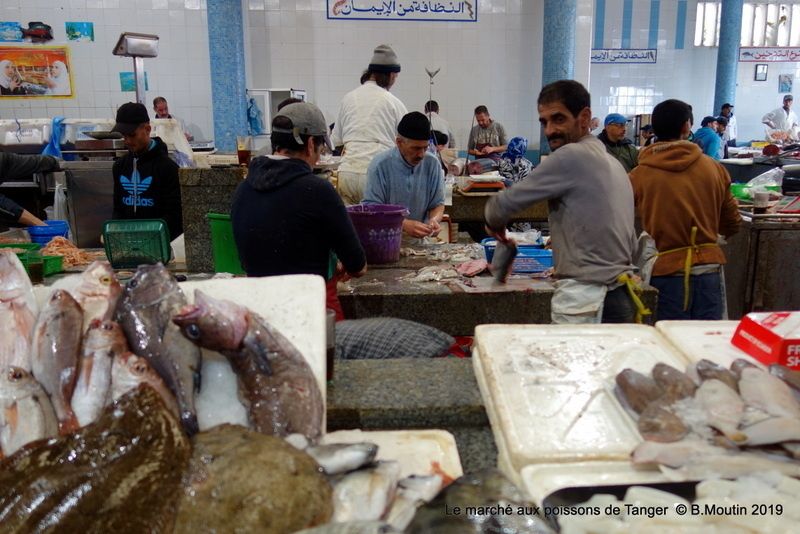 tanger et autre maroc - Le blog de Bernard Moutin