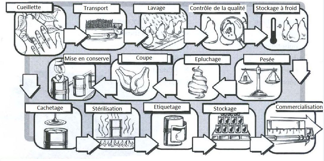 Comprendre les Processus de Conservation des Aliments (partie 1 ...