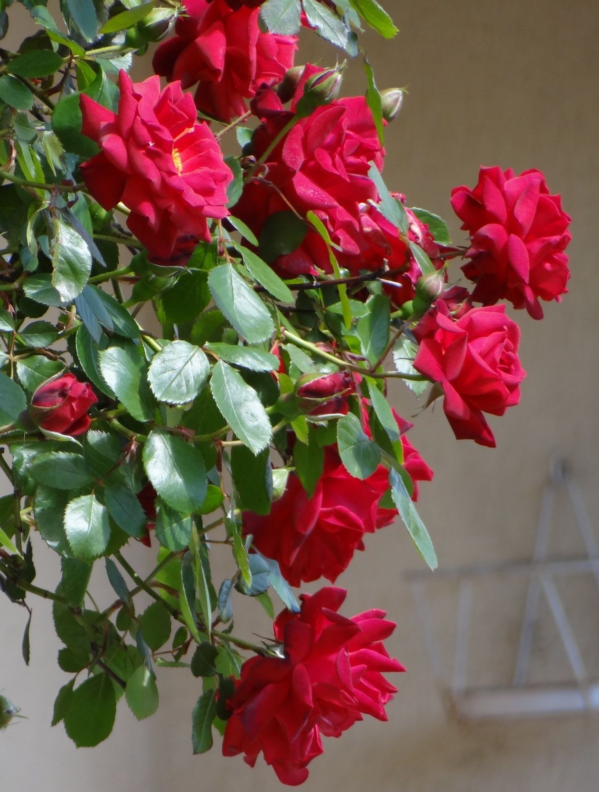 Problème de récepteur au portail situé 3, rue Louis Pasteur. - Le blog ...