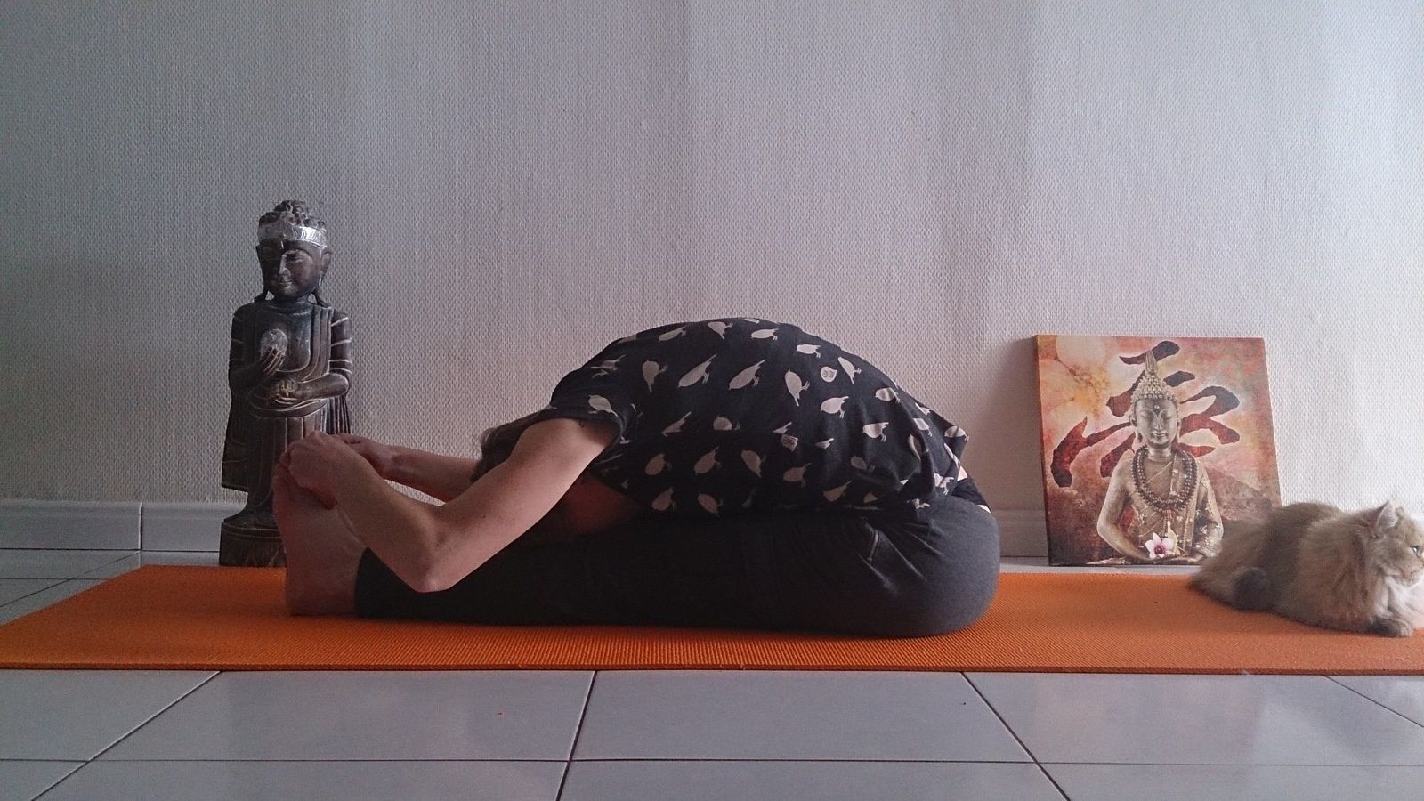 Paschimottana asana - Posture en flexion avant - Hatha yoga nord