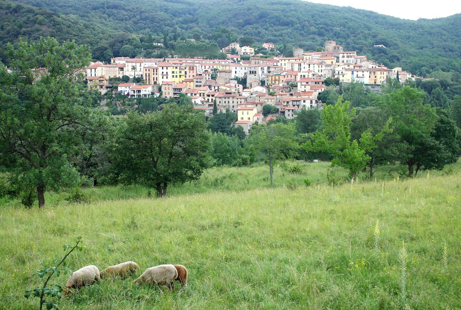 PALALDA, un authentique village... - Les photos de Jielka
