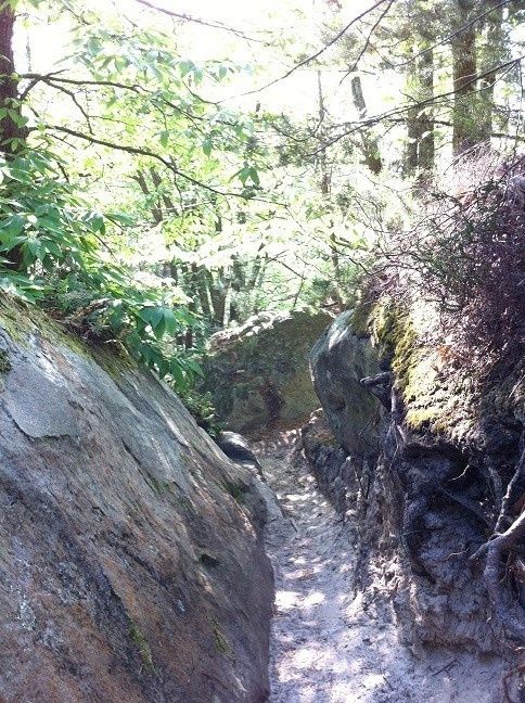 Les 25 bosses - Petits bonheurs en famille ... et autres