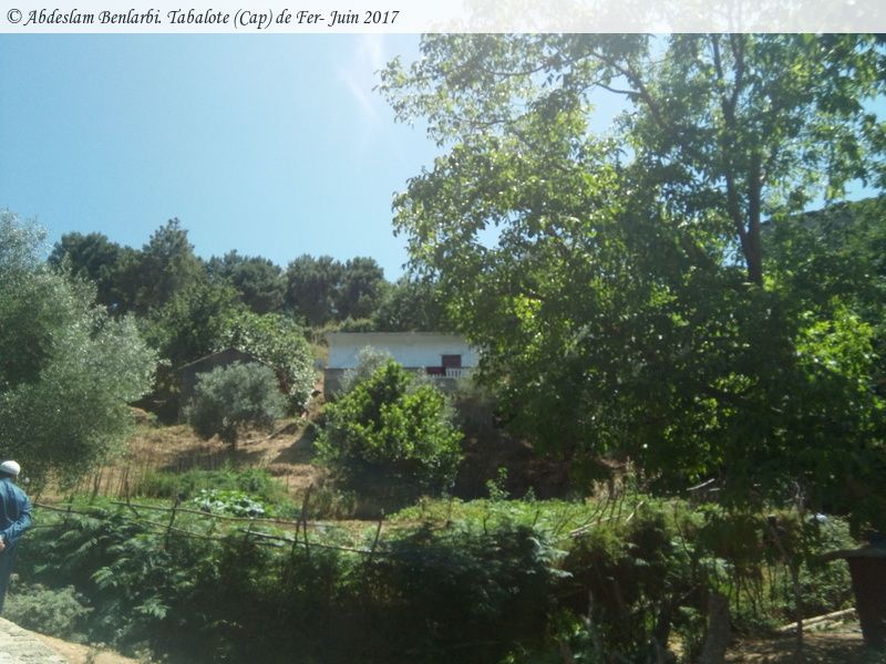 Vagues...Ramadan 2017 dans le massif de Collo (5): Tamanar & Cap ...