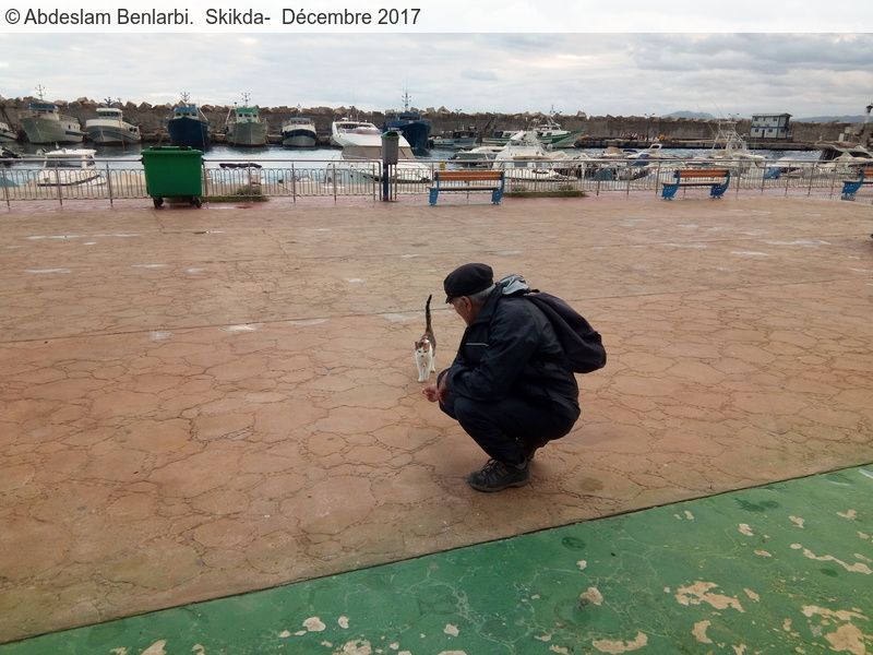 Skikda à travers des photos inédites (9) : Le Port Phénicien de Stora ...