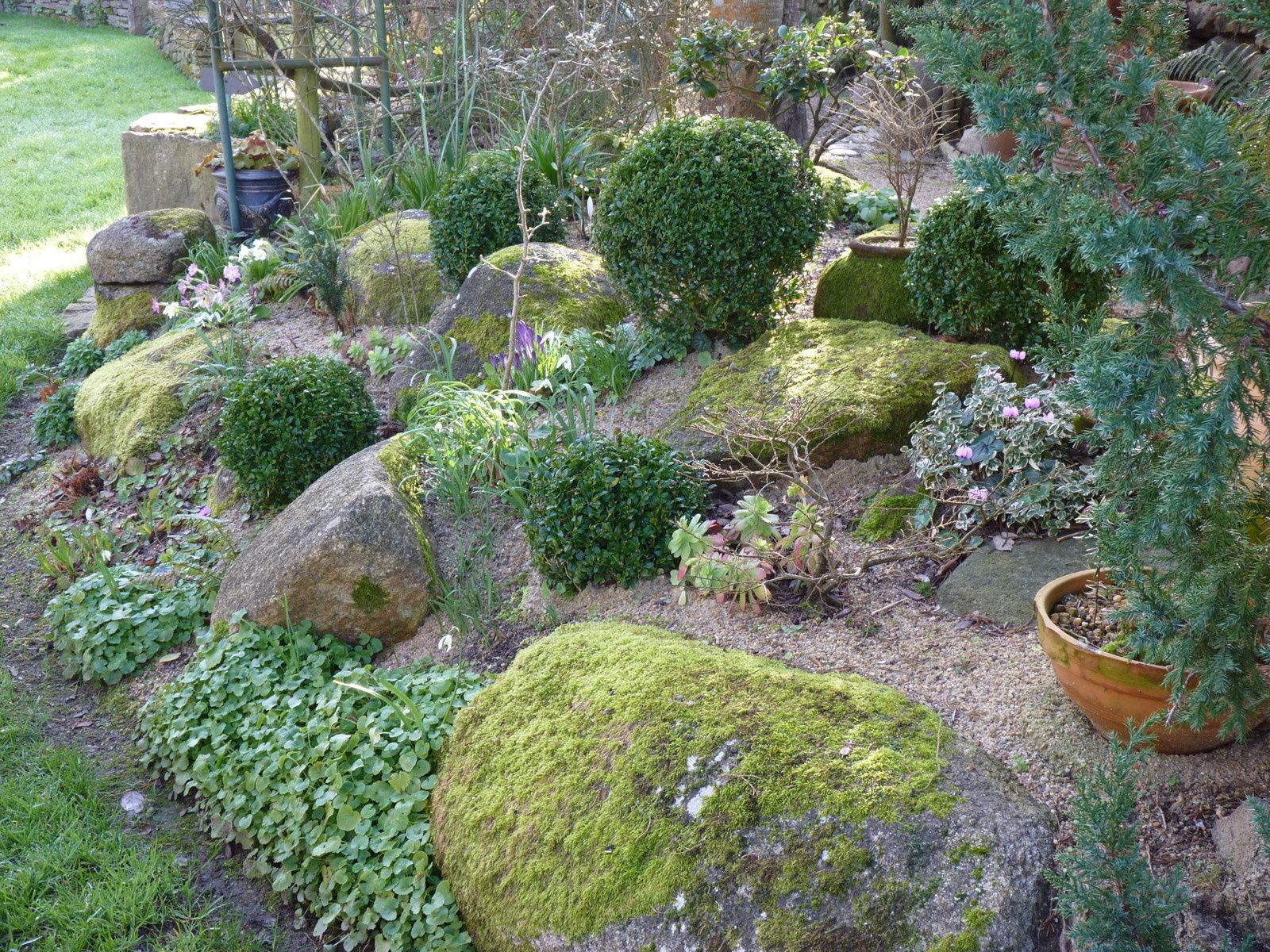 La ROCAILLE - Jardindelemo