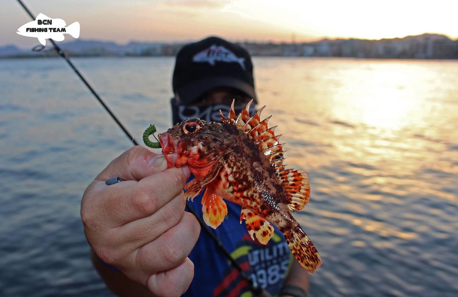 rascasse rouge rockfishing - Le blog de rockfishing-game