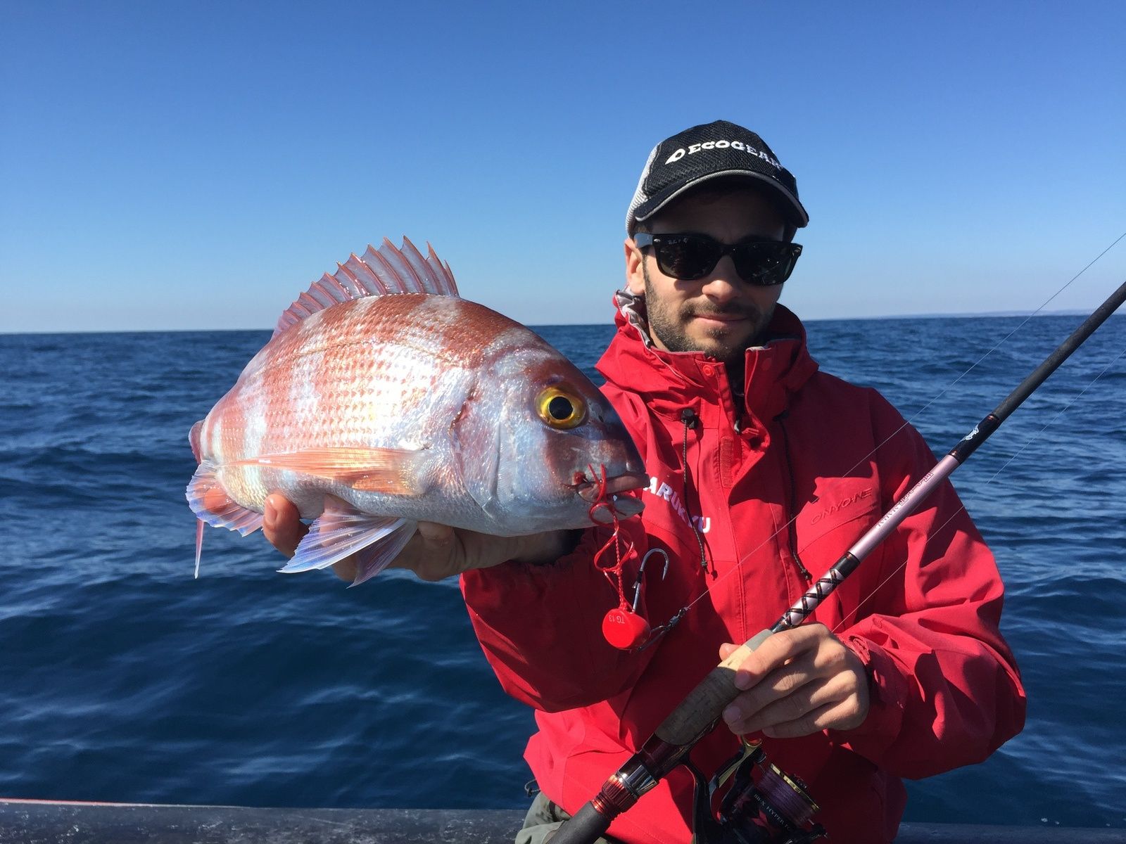 Pêche de Pagre - Le blog de rockfishing-game