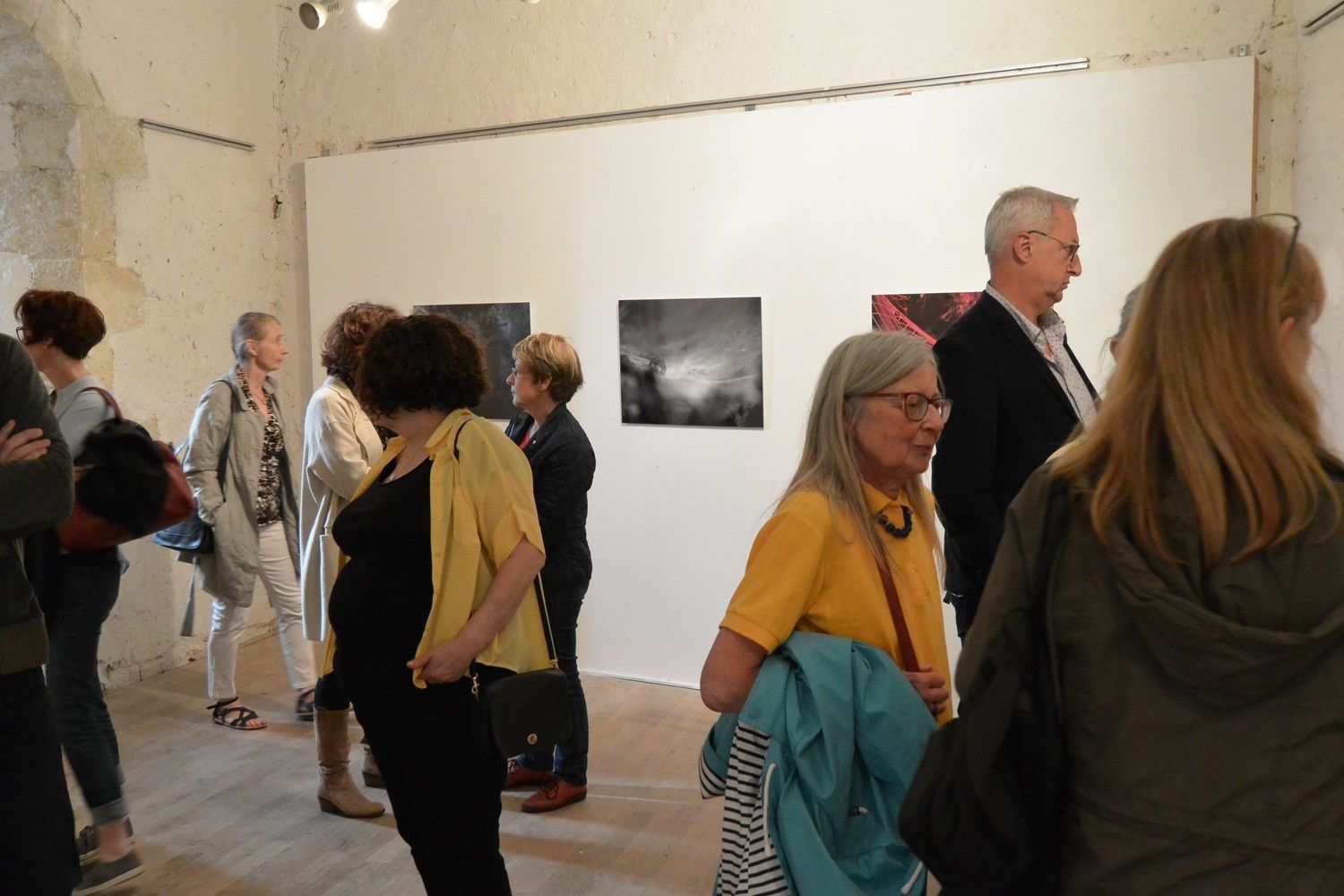 L'EXPOSITION NATURA à EXCIDEUIL PERMET DE DECOUVRIR DES OEUVRES DE LA ...
