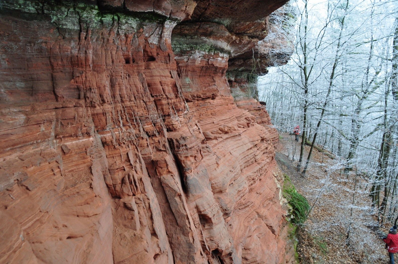 La Barre Rocheuse de L'Altschlossfelsen - Palatinat - 1ère partie