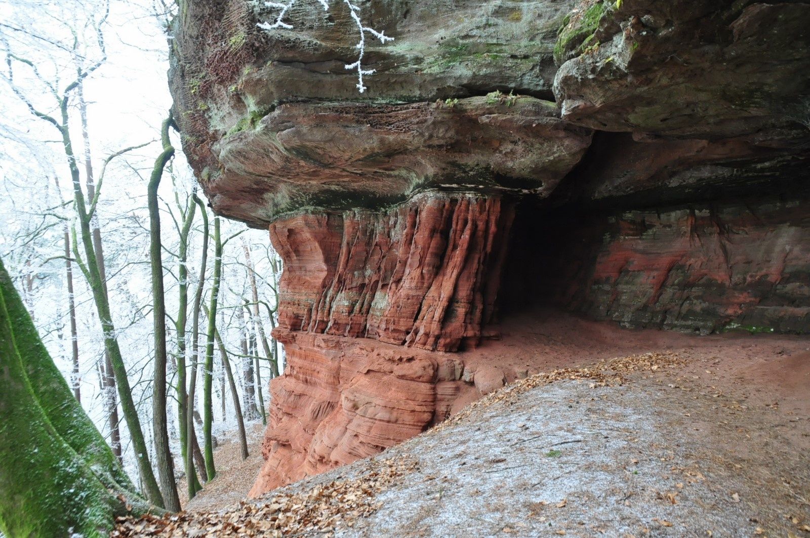 La Barre Rocheuse de L'Altschlossfelsen - Palatinat - 1ère partie