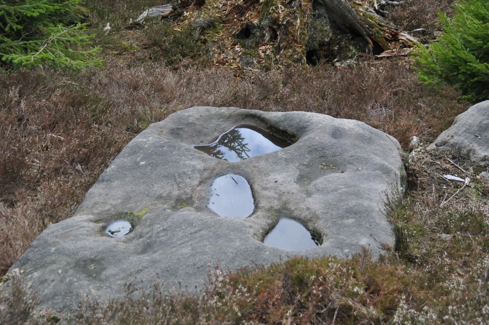 LES ROUGES TERRES et LES HAUTES RELEVEES - gigantesques et giboyeuses....