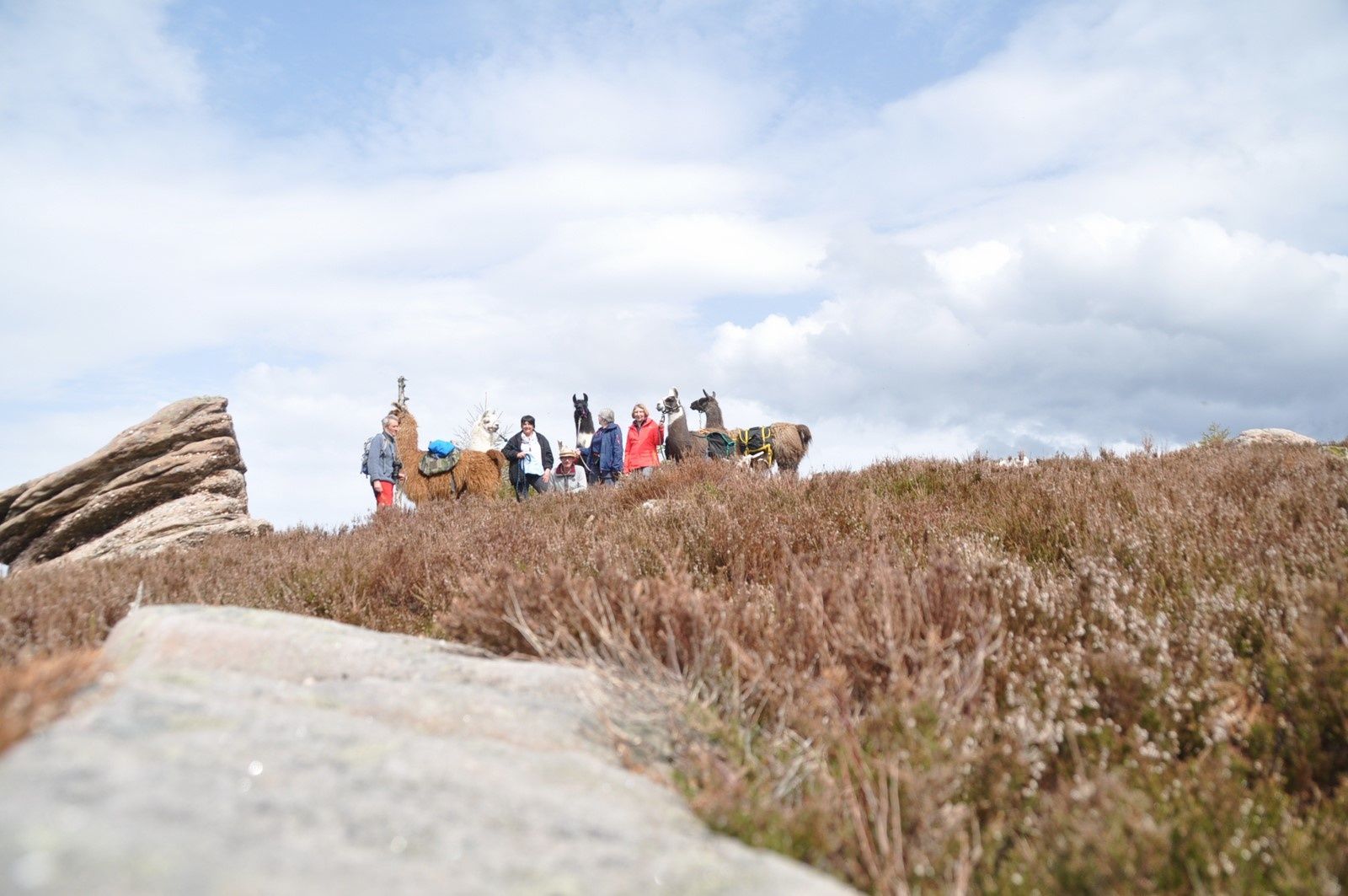 LES ROUGES TERRES et LES HAUTES RELEVEES - gigantesques et giboyeuses....