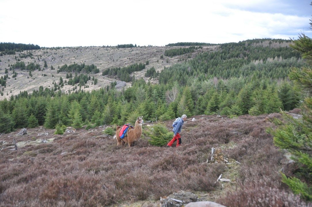 LES ROUGES TERRES et LES HAUTES RELEVEES - gigantesques et giboyeuses....