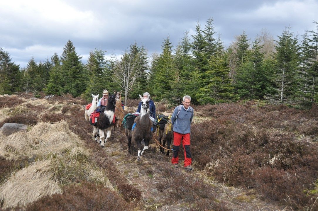 LES ROUGES TERRES et LES HAUTES RELEVEES - gigantesques et giboyeuses....