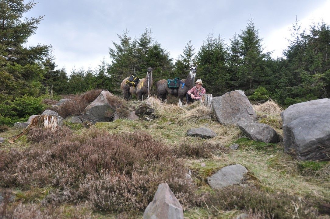LES ROUGES TERRES et LES HAUTES RELEVEES - gigantesques et giboyeuses....