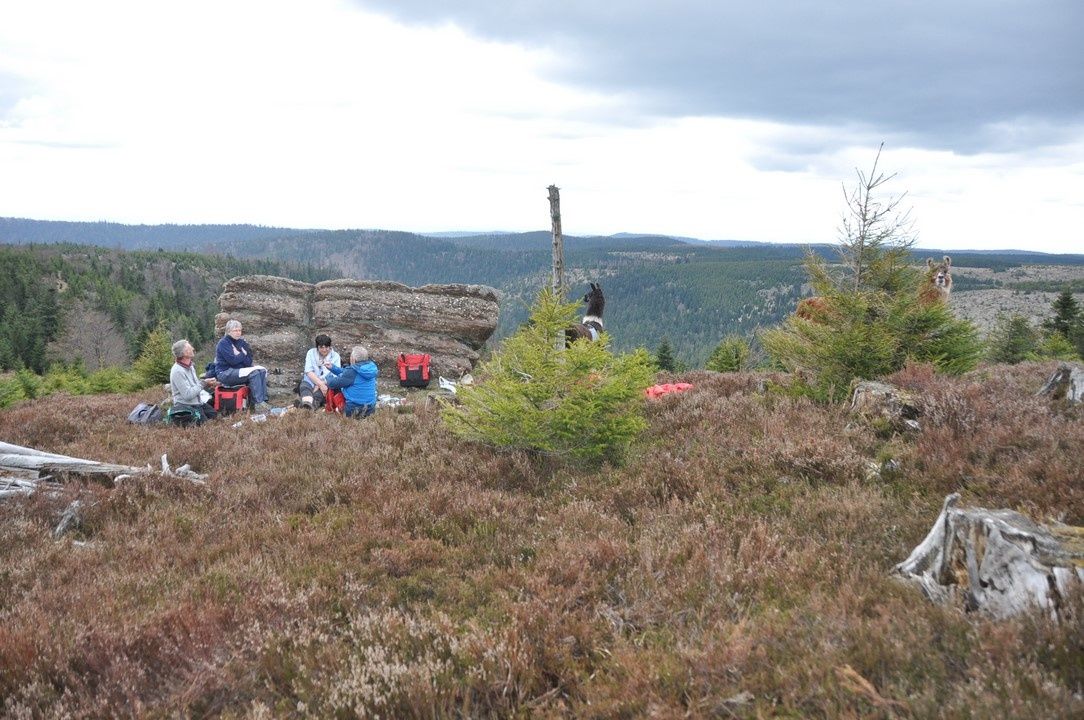 LES ROUGES TERRES et LES HAUTES RELEVEES - gigantesques et giboyeuses....