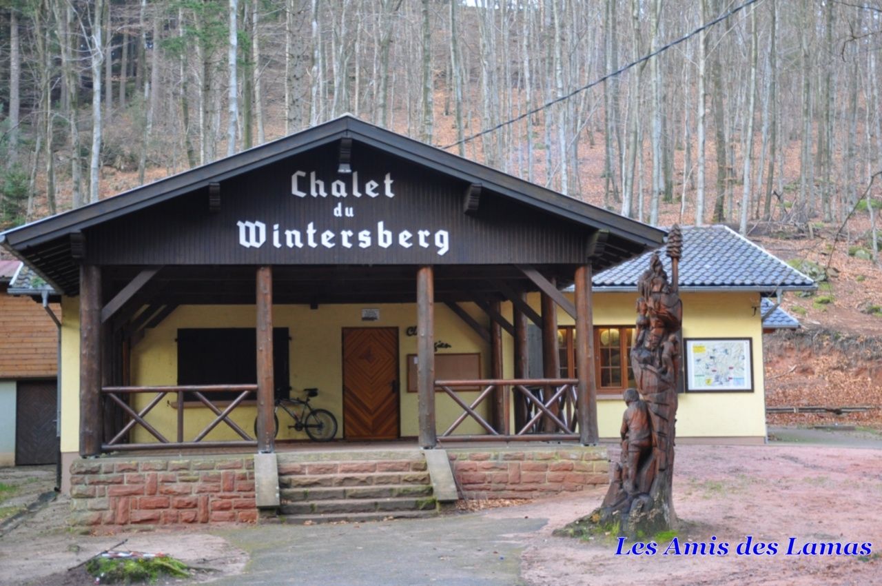 Niederbronn les bains