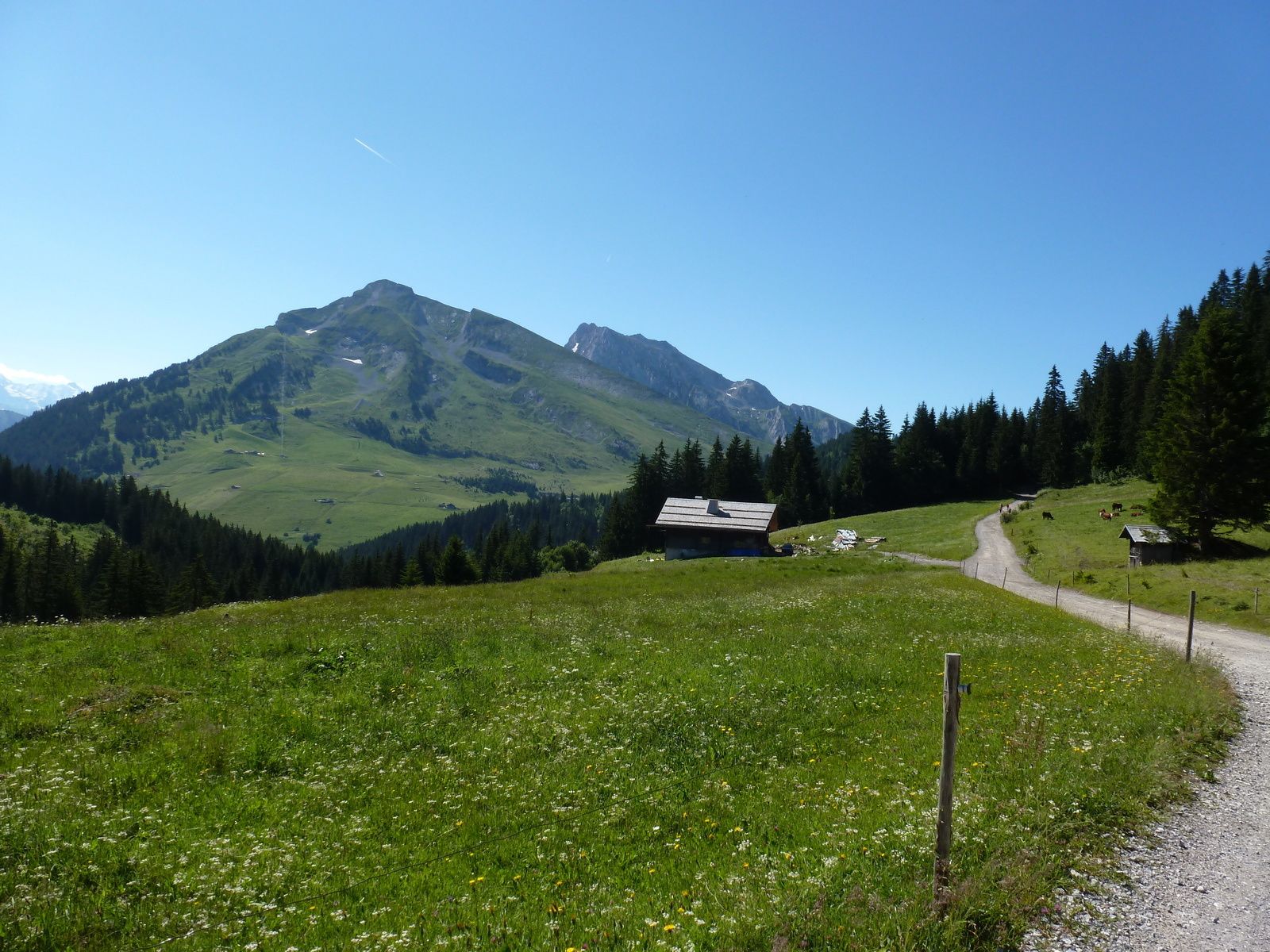 Pointe Beauregard ( 1644m) Col de la Croix Fry Manigod - Randonnée ...