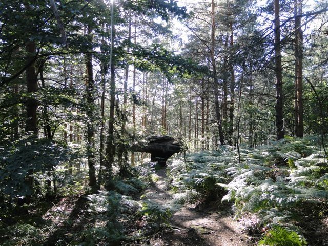 St-Jean-Saverne – Mont Saint Michel – Les Roches Plates – Rocher des ...