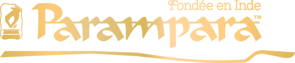 "PARAMPARA " les nouveaux kits de cuisine indienne - Pinklotusinindia