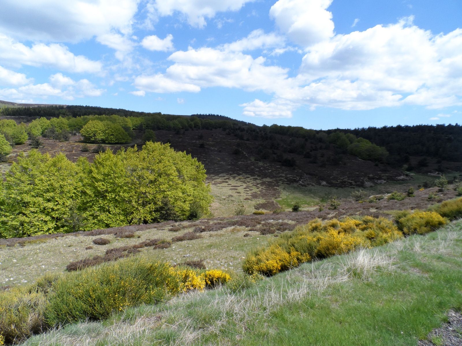 Pas de Ventoux pour Gillou - le blog de gillou