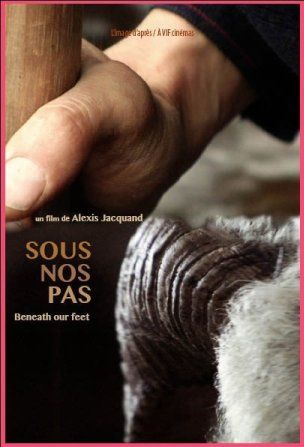 Sous nos pas - Alexis Jacquand - Le Génépi et l'Argousier