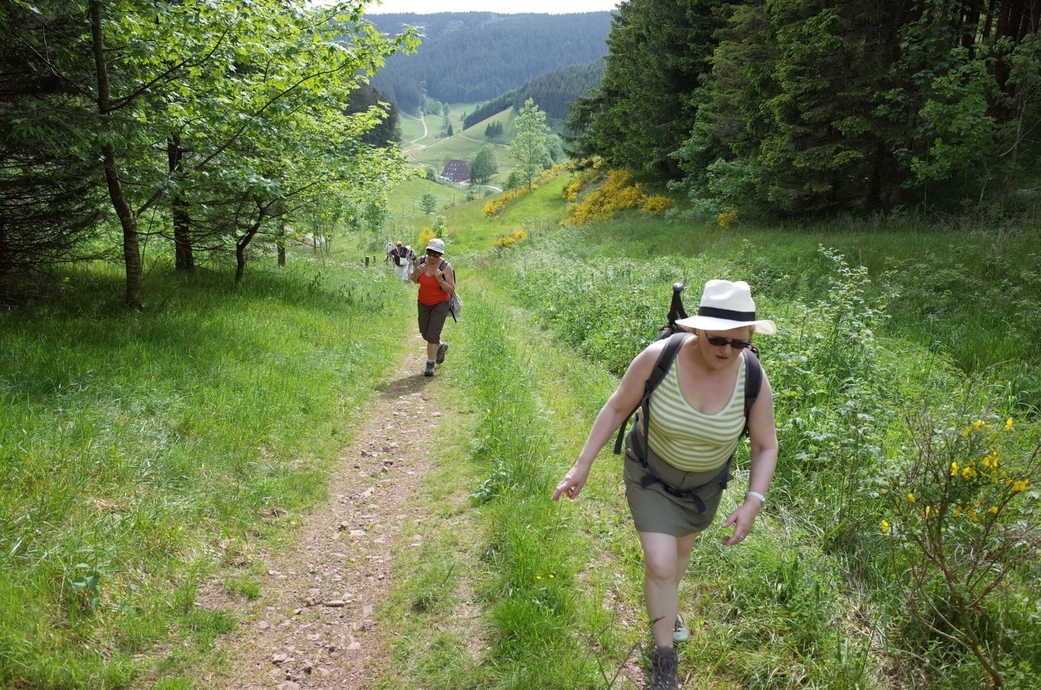 WEEK END RANDO A SCHÖNWALD EN FORET NOIRE - randonneursdelapaf