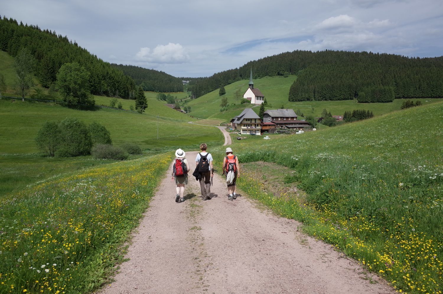 WEEK END RANDO A SCHÖNWALD EN FORET NOIRE - randonneursdelapaf