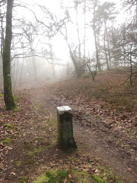 TABLE DES SORCIERES - BROTSCH - CUVE DE PIERRE - Le blog de balade2cesar