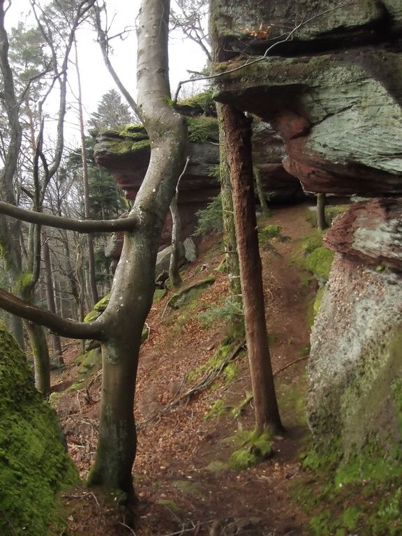TABLE DES SORCIERES - BROTSCH - CUVE DE PIERRE - Le blog de balade2cesar