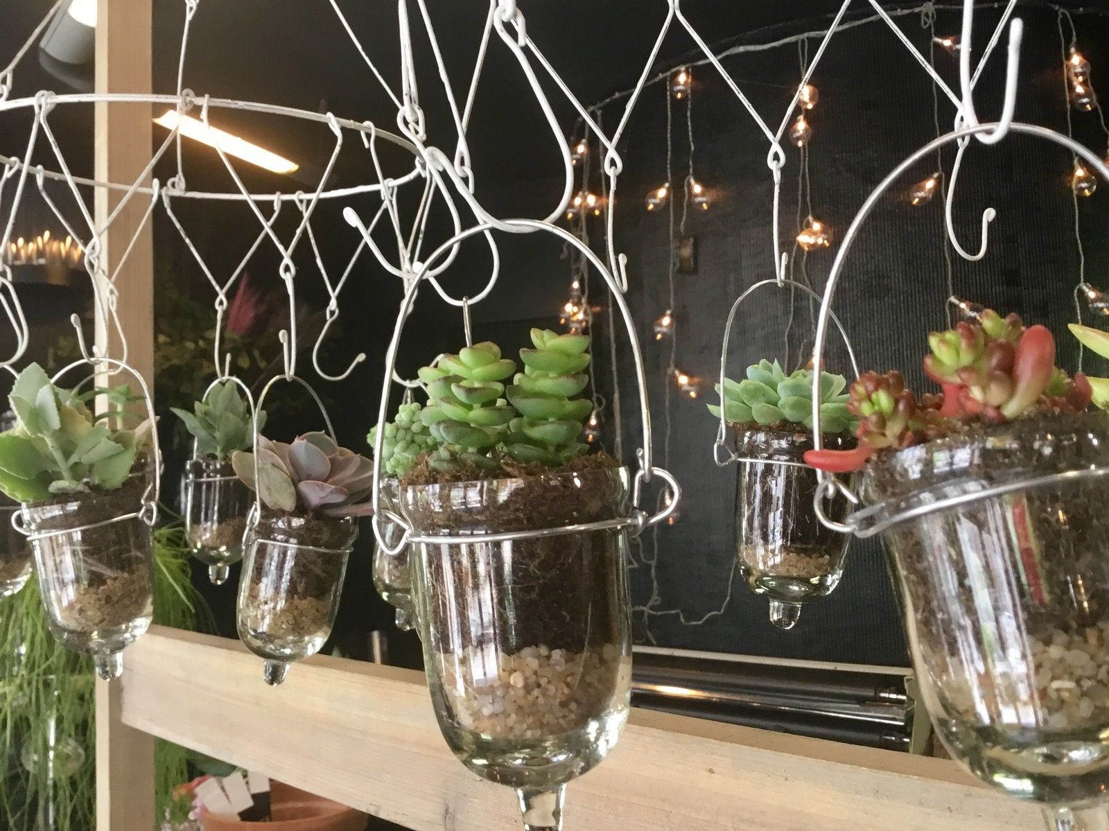 Mini plantes dans mini contenants - Basille fleurs, artisan fleuriste à ...