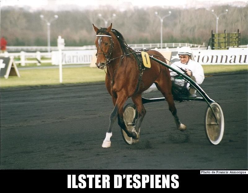 Les champions trotteurs de légende en France 21 - Les années 2000 (Insert Gédé) - Histoire du Trot