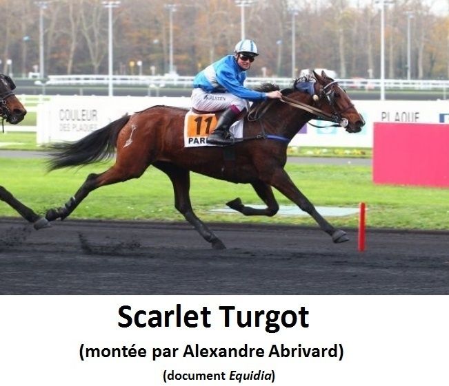 Bold Eagle, fils de Ready Cash, sur les traces de son père ! - Histoire ...