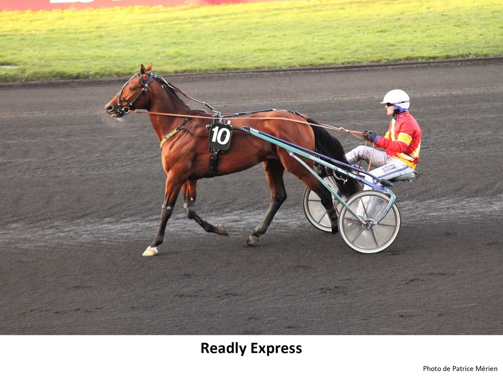 Bold Eagle... à la poursuite de Varenne ! - Histoire du Trot