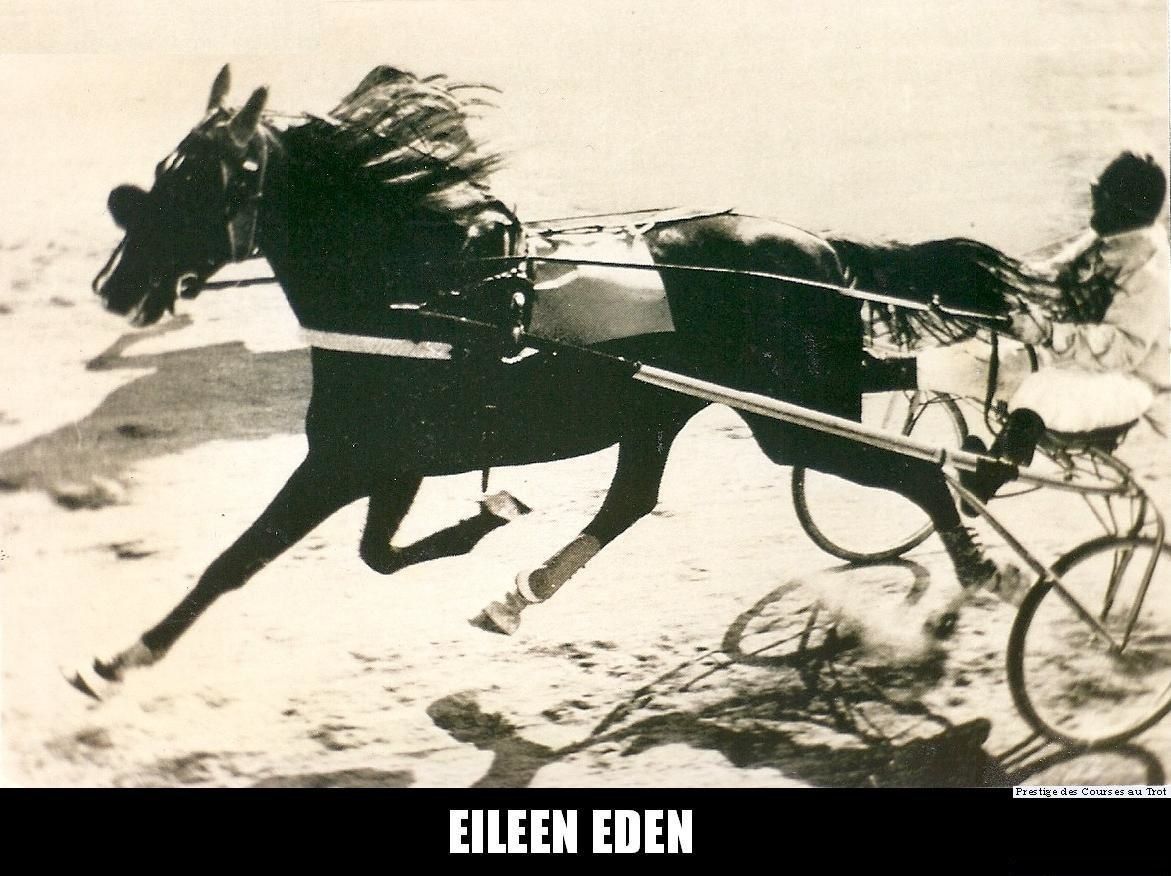 Les trotteurs français - (03) Les champions années 1960 - Histoire du Trot