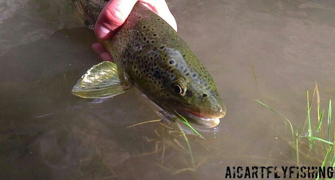 Reencuentro. - Meet again.