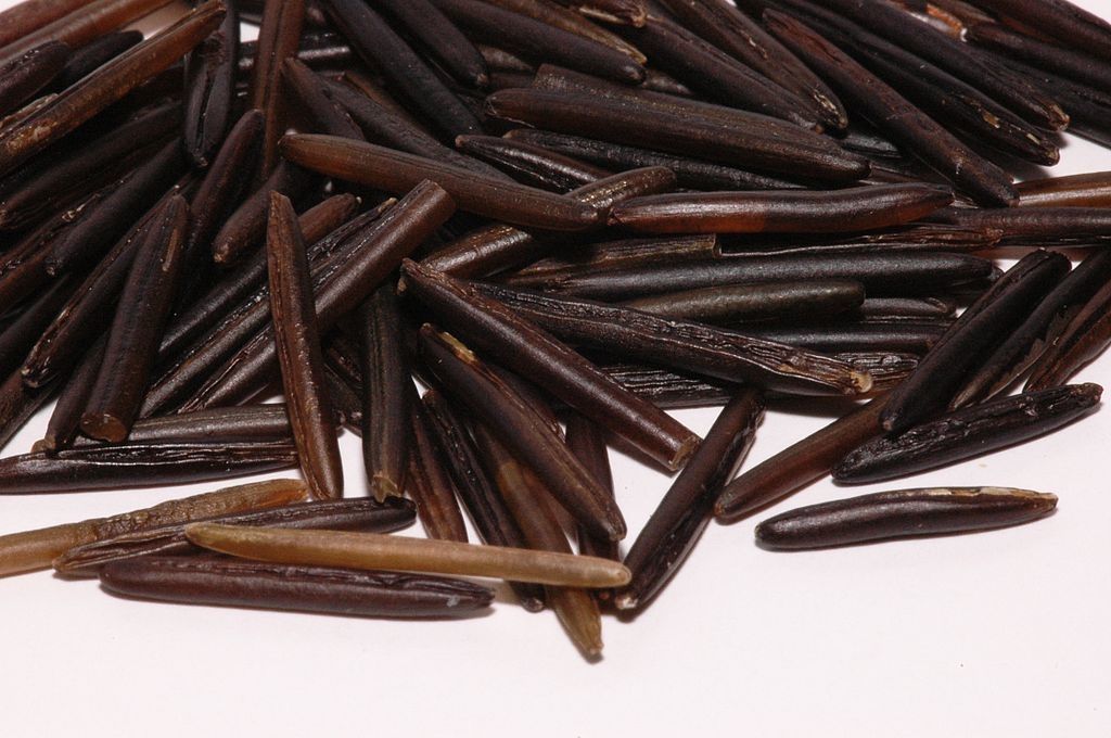 Le riz sauvage doit le rester - coco Magnanville