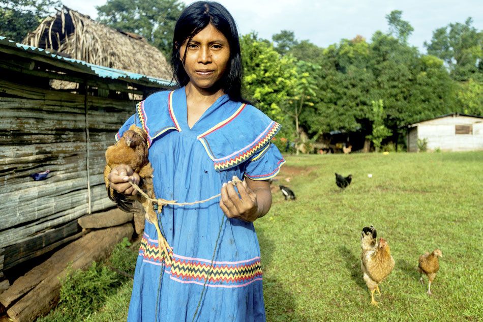 Panama /Costa Rica : Les Ngäbe ou Guaymi - coco Magnanville
