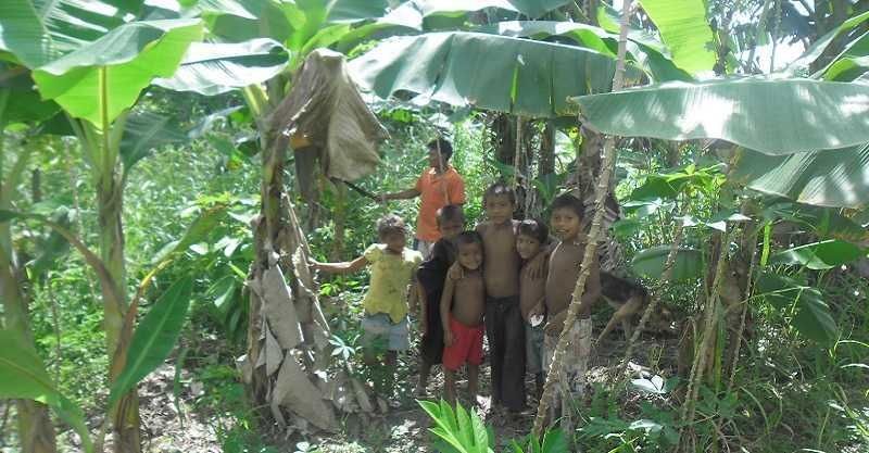 Les systèmes de production agricole du Venezuela : le conuco et le ...